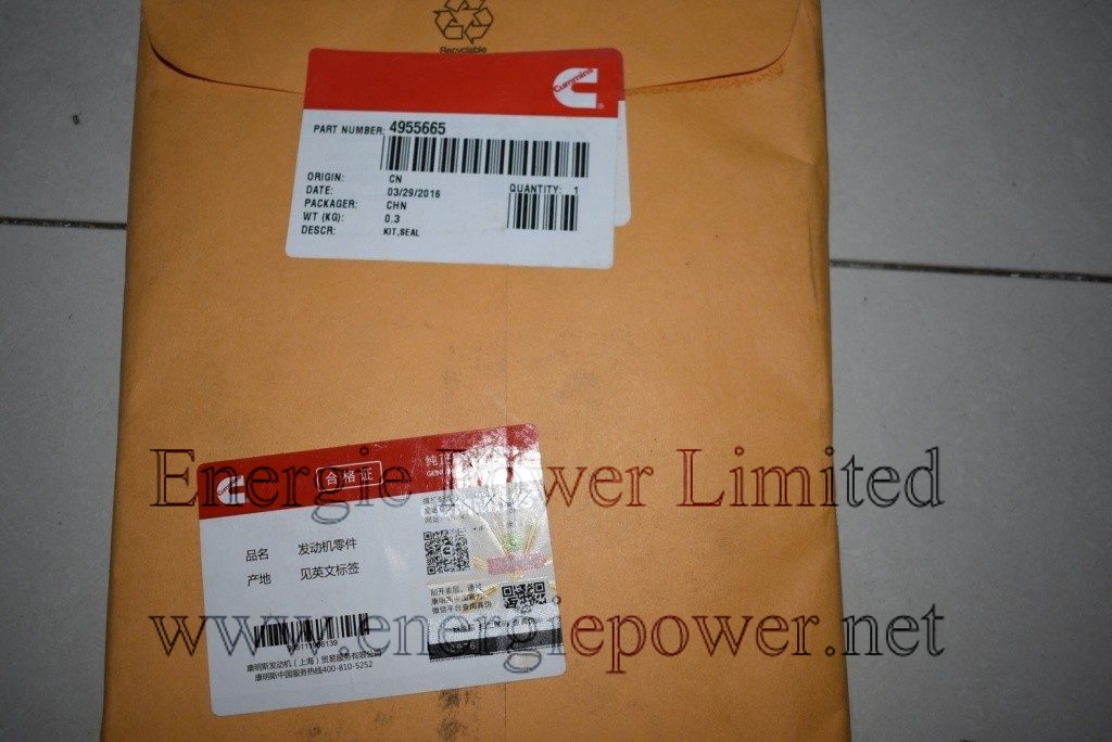 4955665 seal kit | Cummins Engine Parts