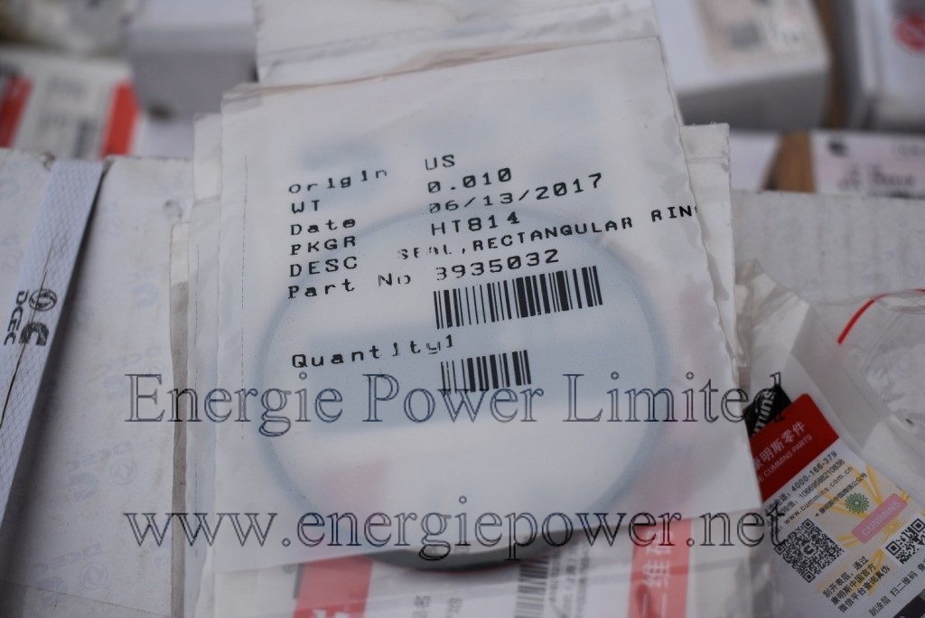 3935032 Rectangular Ring Seal | Cummins Engine Parts