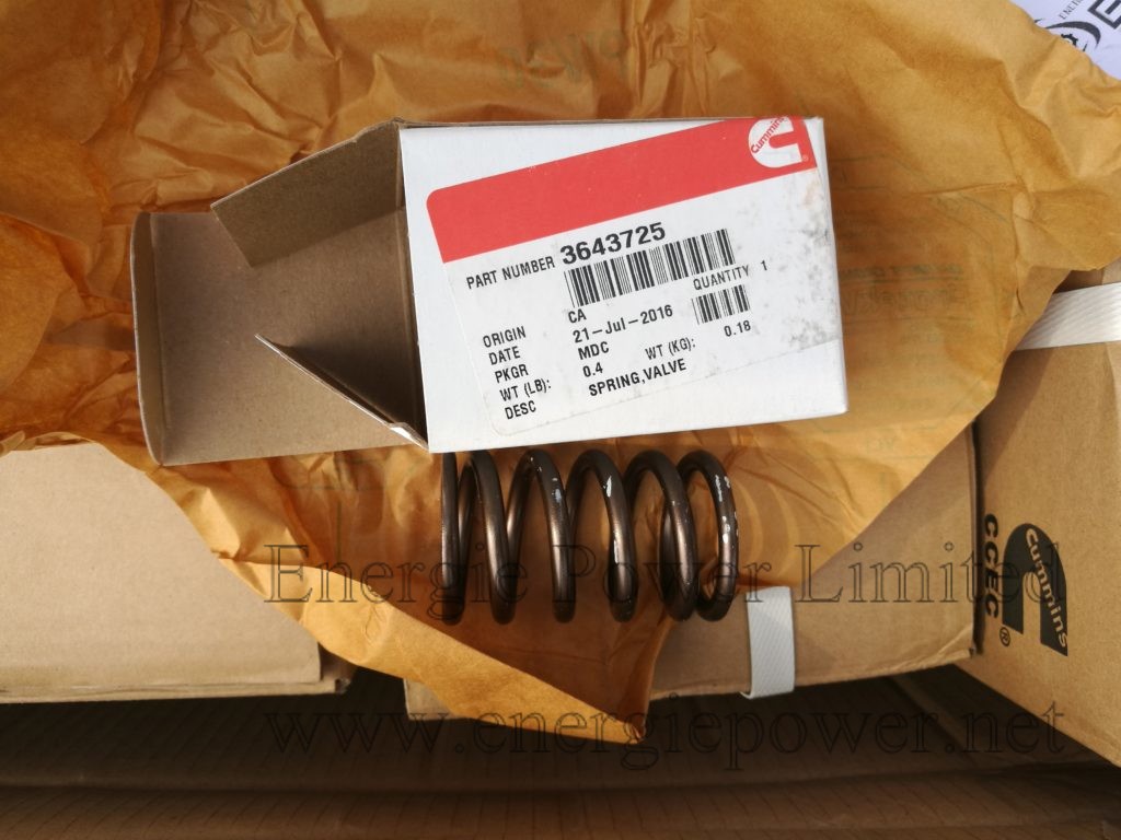 3643725 Valve Spring | Cummins Engine Parts