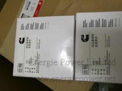 3892020 Oil Seal | Cummins Engine Parts